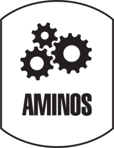 Orangesicle - CELSIUS